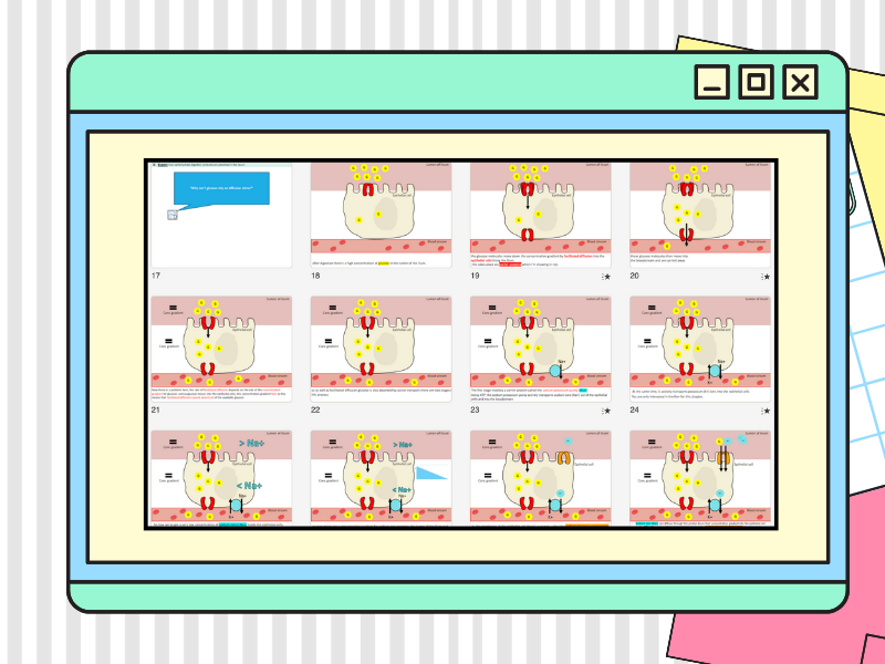 Co-transport and Absorption of Glucose in the Ileum (Chapter 4.5) - AQA ...