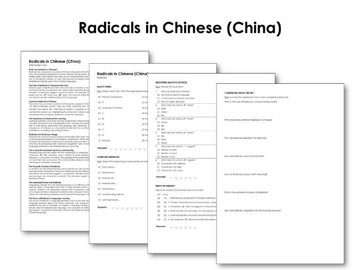 Radicals in Chinese (China) | Teaching Resources