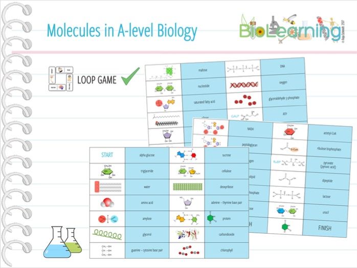 Molecules in A level Biology - Loop Game (KS5) | Teaching Resources