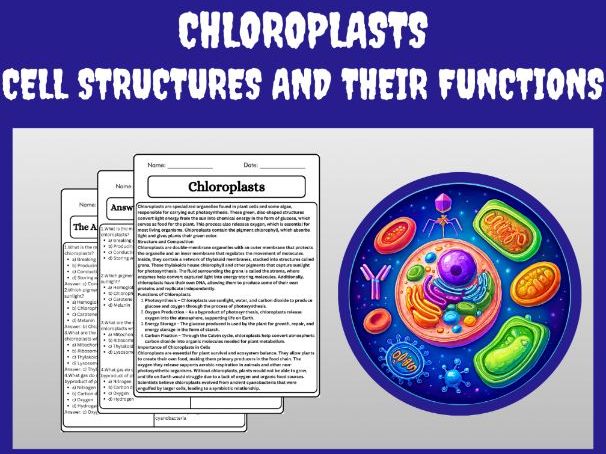 Chloroplasts - Cell Structures and Their Functions Reading Comprehension Passages Worksheets ...