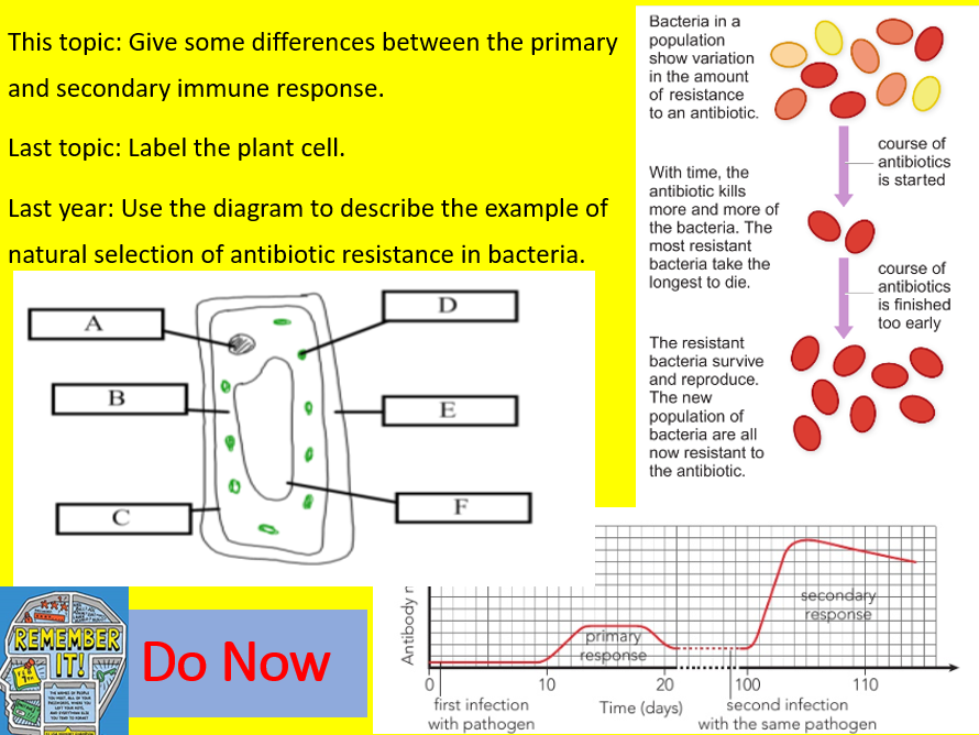 Edexcel CB5 SB5 Antibiotics Complete Lesson - GCSE Biology/ Combined ...