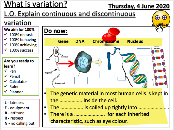 KS3 Biology - Variation | Teaching Resources