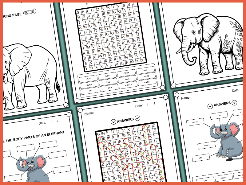 Elephant Body Parts Activity Pack | Labeling, Coloring & Word Search (K ...