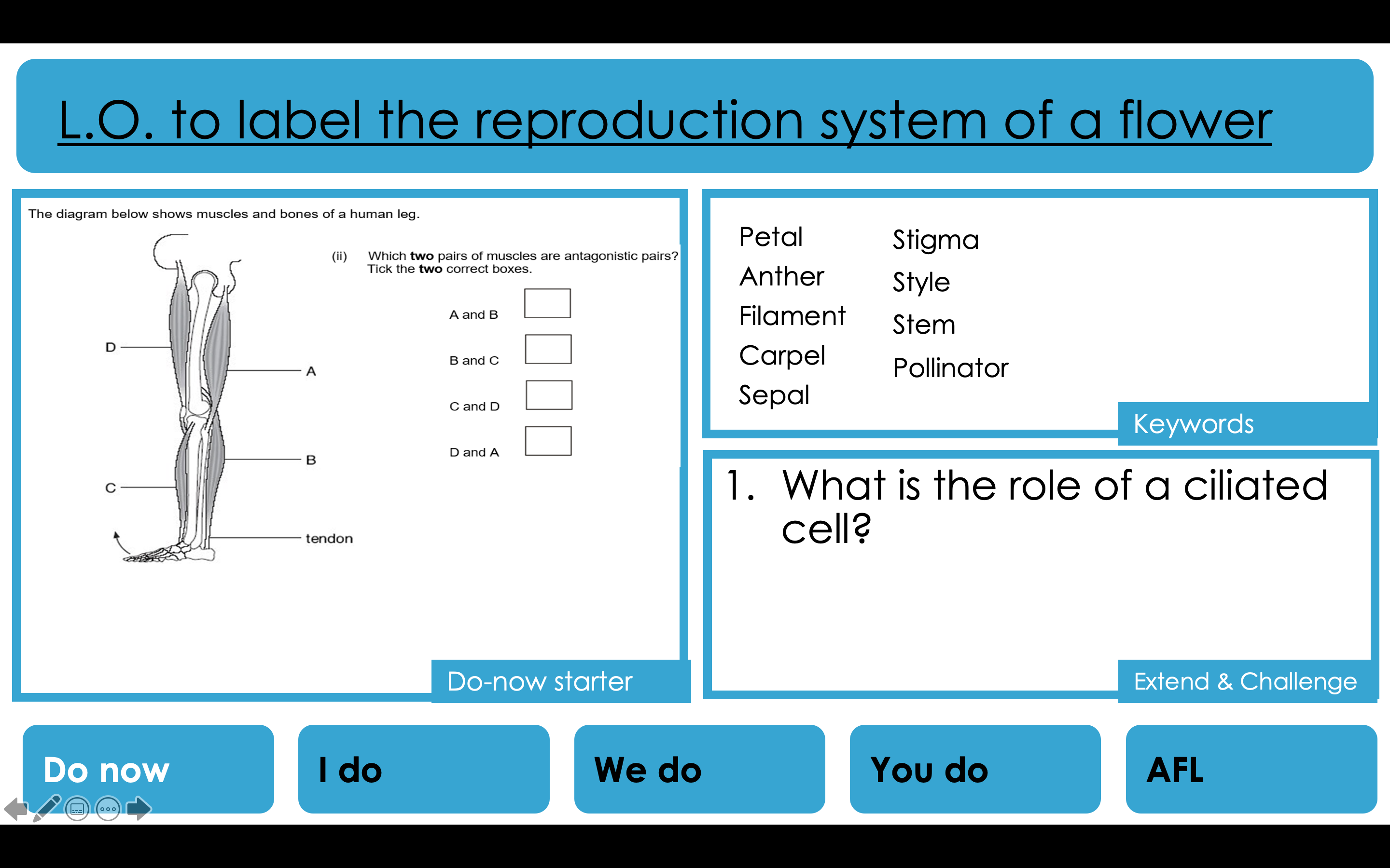 Flower Reproduction and Seed Dispersal | Teaching Resources