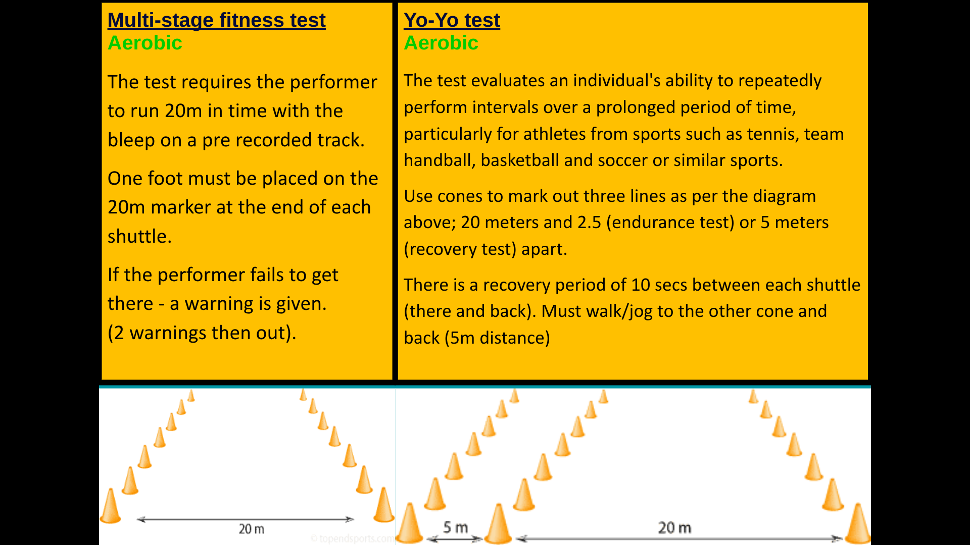 A level Physical Education: Fitness testing | Teaching Resources