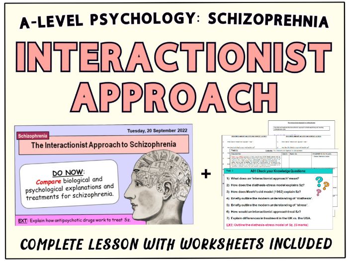 A-level Psychology - THE INTERACTIONIST APPROACH TO SCHIZOPHRENIA ...