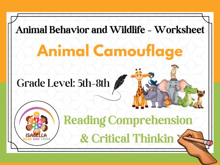 Animal Camouflage: Reading Comprehension Passages & Questions ...