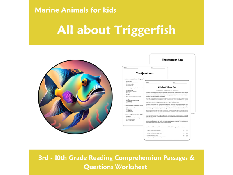 All About Triggerfish Reading Comprehension Passages & Questions ...