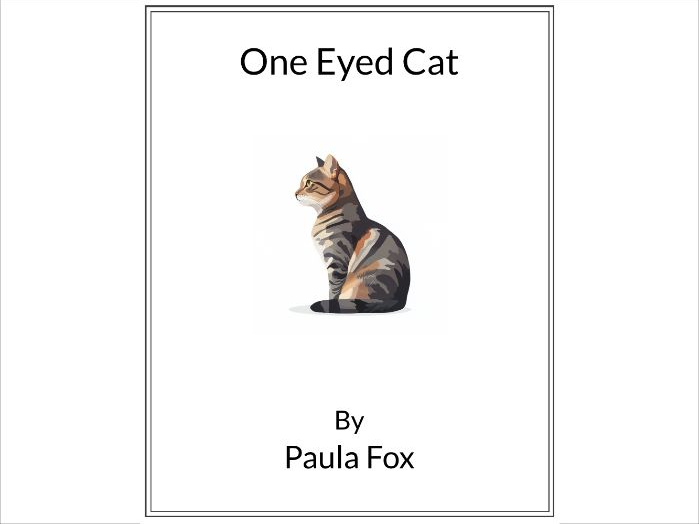 One-Eyed Cat by Paula Fox * (Lesson Plan) | Teaching Resources