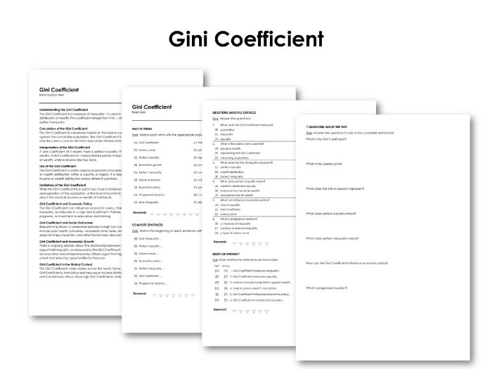 Gini Coefficient Teaching Resources
