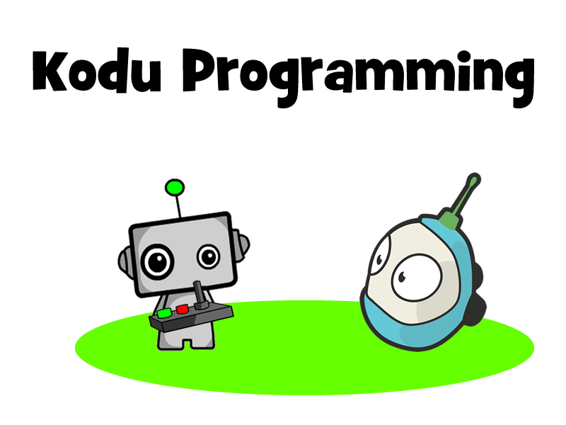 Secondary algorithms and programming teaching resources: Test data and ...