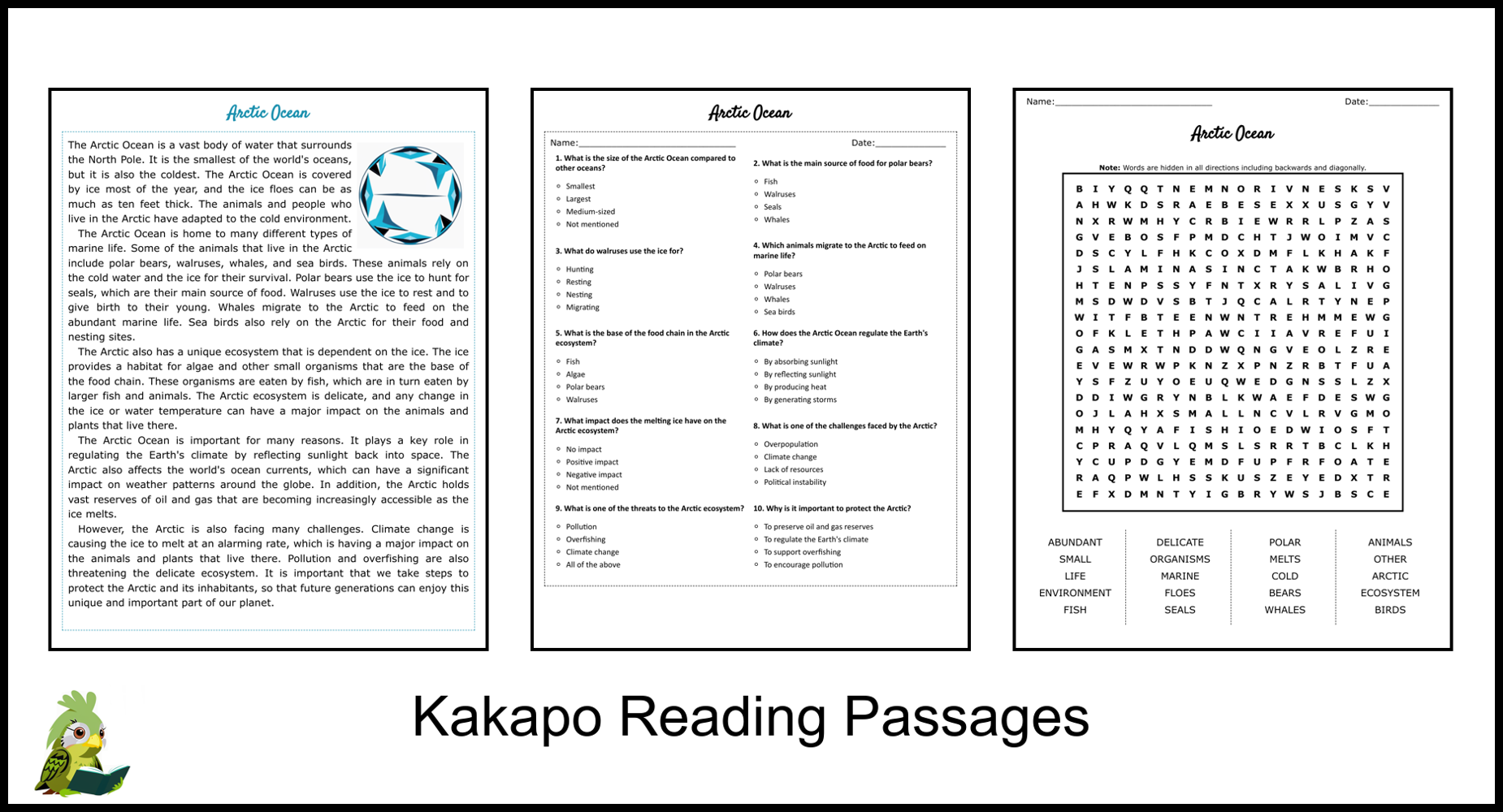 Arctic Ocean Reading Comprehension and Word Search | Teaching Resources