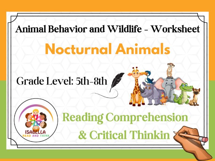 Nocturnal Animals: Reading Comprehension Passages & Questions ...