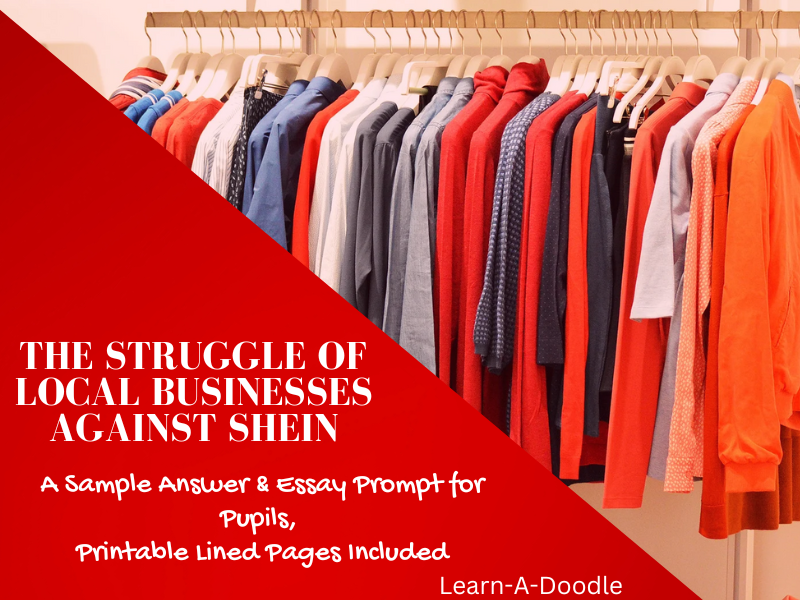 The Struggle of Local Businesses Against SHEIN: Essay Prompt & Sample ...