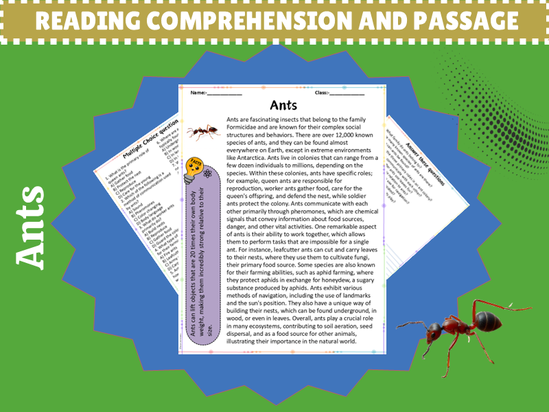 Exploring Ants: Engaging Reading Passage and Insightful Questions ...