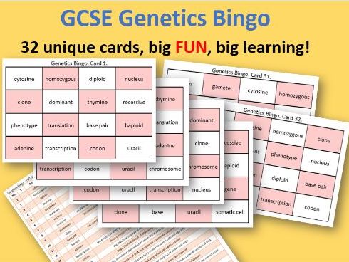 GCSE Genetics Bingo. FUN! Learning! | Teaching Resources