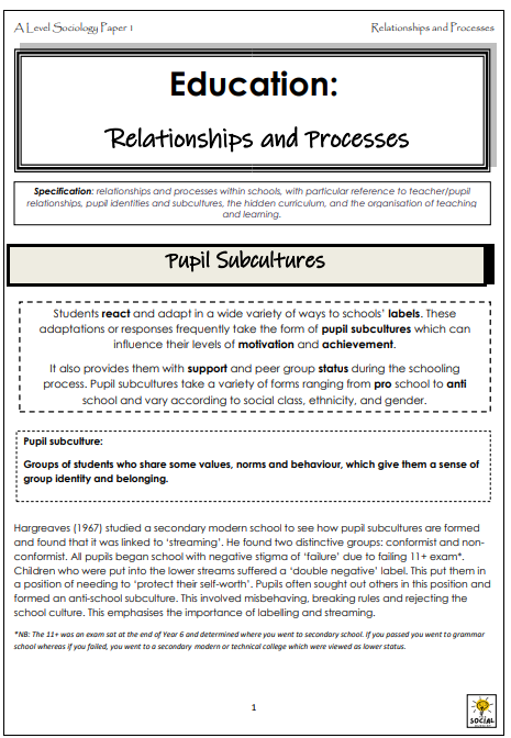 AQA A level Sociology - Education - Pupil Subcultures | Teaching Resources