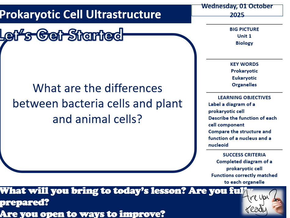 Prokaryotic Cells- AAQ Applied Science | Teaching Resources