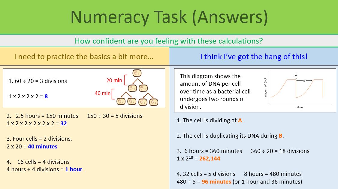Revision Cells Topic 1 GCSE Biology AQA | Teaching Resources