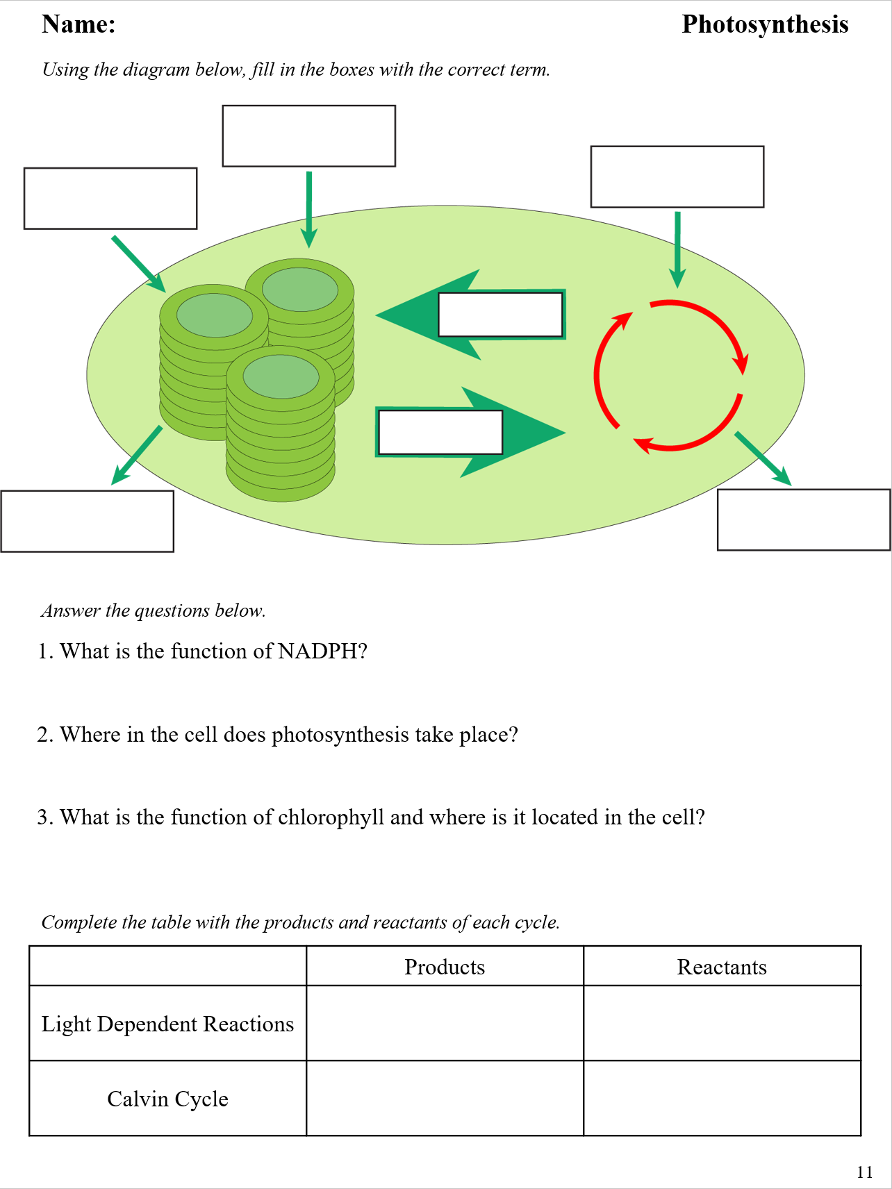 Photosynthesis Worksheets Teaching Resources