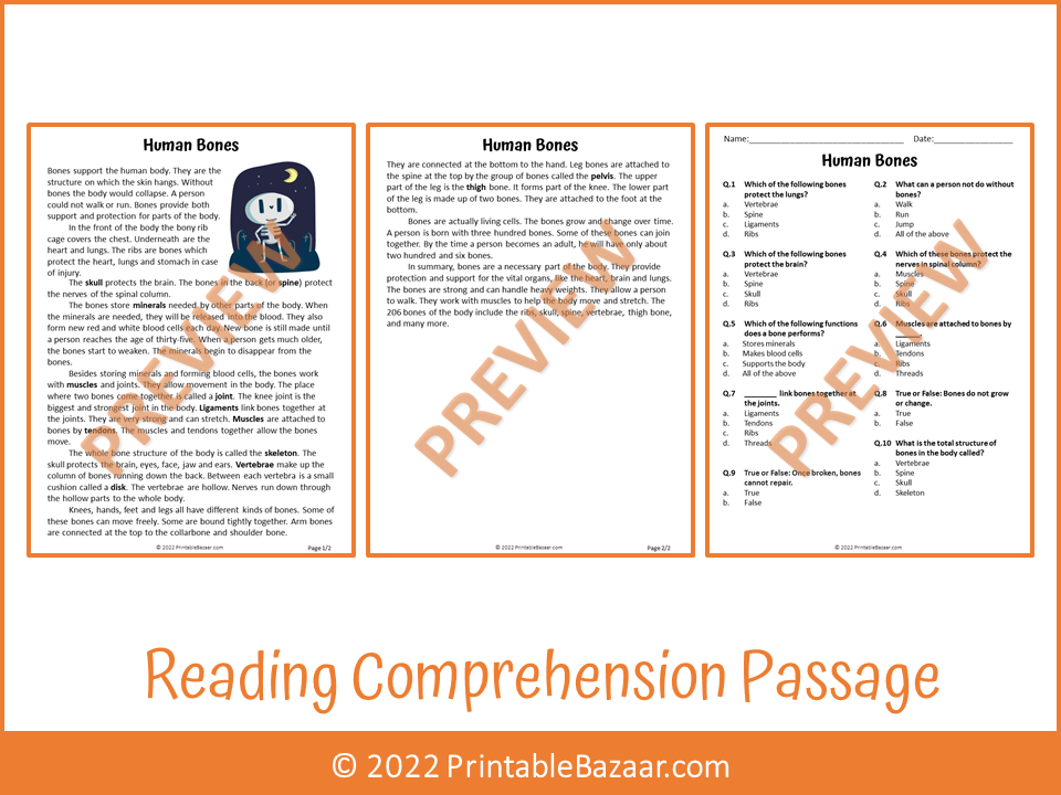 Human Bones Reading Comprehension Passage and Questions - PDF ...
