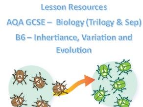 lesson_DNA and genome_AQA GCSE | Teaching Resources