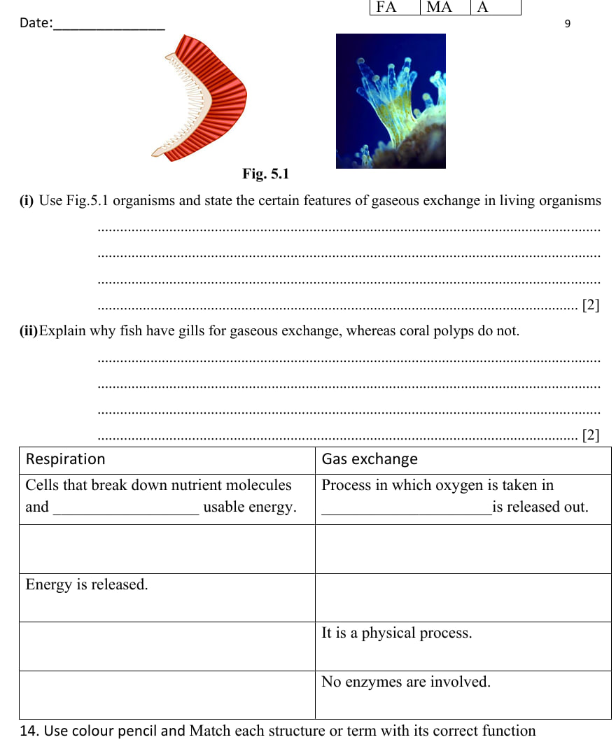 Cambridge IGCSE Marine Science (0697) – Complete Worksheet Bundle ...