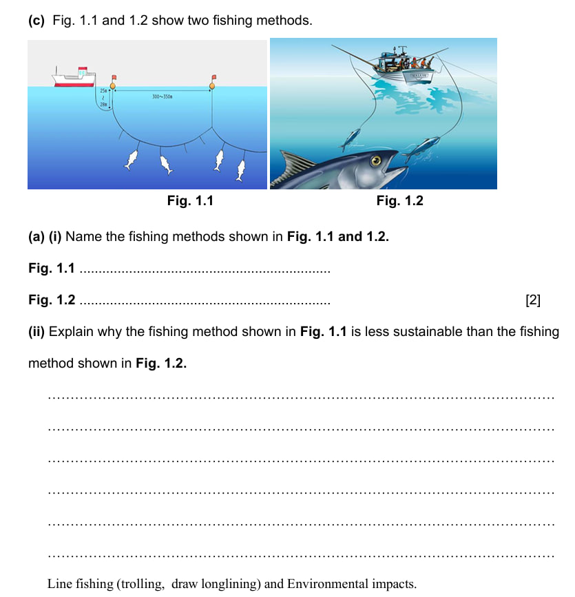 Cambridge IGCSE Marine Science (0697) – Complete Worksheet Bundle ...