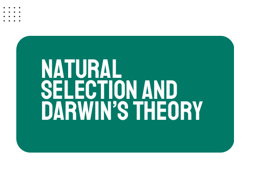 AP Biology: Natural Selection ad Darwin's Theory Exam Practice ...