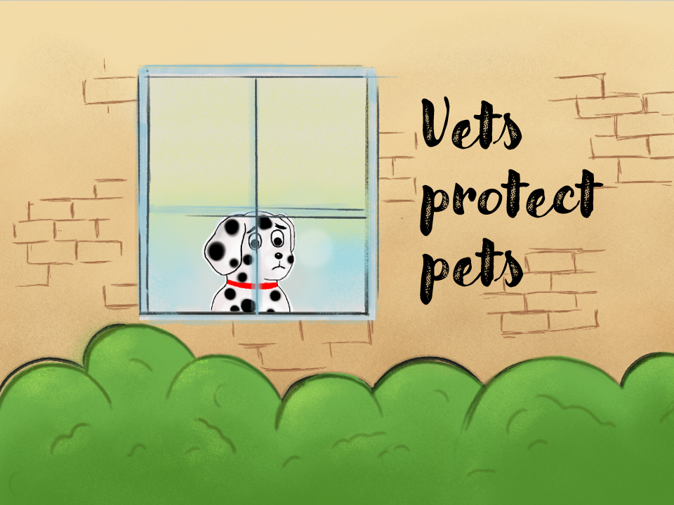 Vets protect pets | Teaching Resources