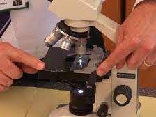 Microscope Required Practical (RPA) | Teaching Resources