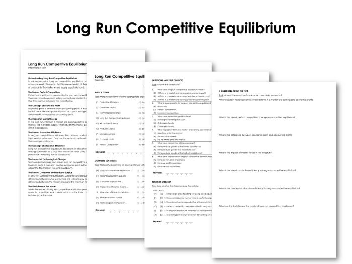 Long Run Competitive Equilibrium | Teaching Resources