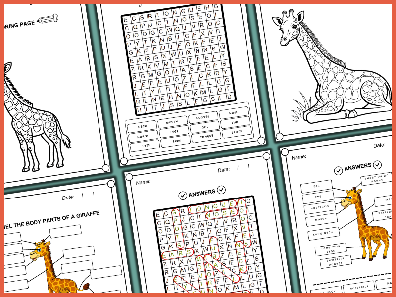 Giraffe Body Parts in English | Safari Animal Labeling, Coloring & Word ...