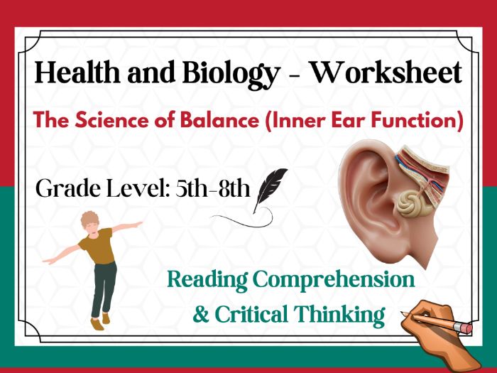 The Science of Balance (Inner Ear Function): Reading Comprehension ...