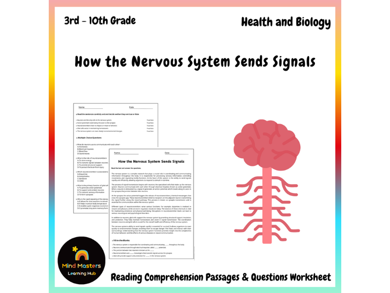 How the Nervous System Sends Signals Reading Comprehension Passages ...