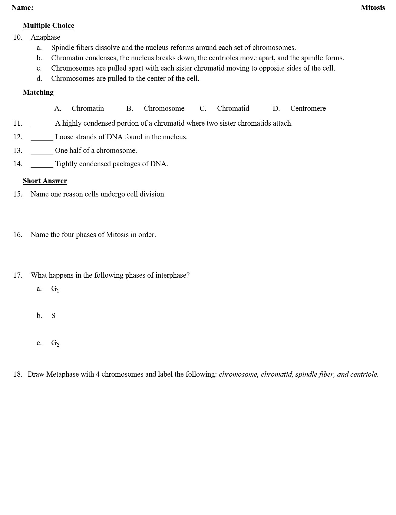 Mitosis Test, Review Questions, and Answer Keys | Teaching Resources