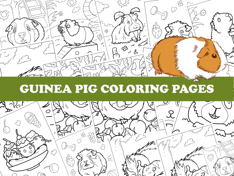 Cute Guinea Pig Coloring Pages Free Printable Coloring Pages