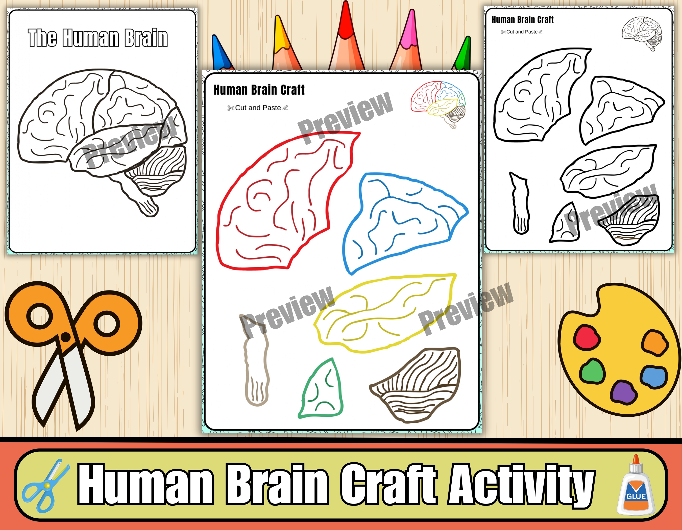 Human Brain Craft Activity – Cut and Paste Anatomy Craft for Kids ...