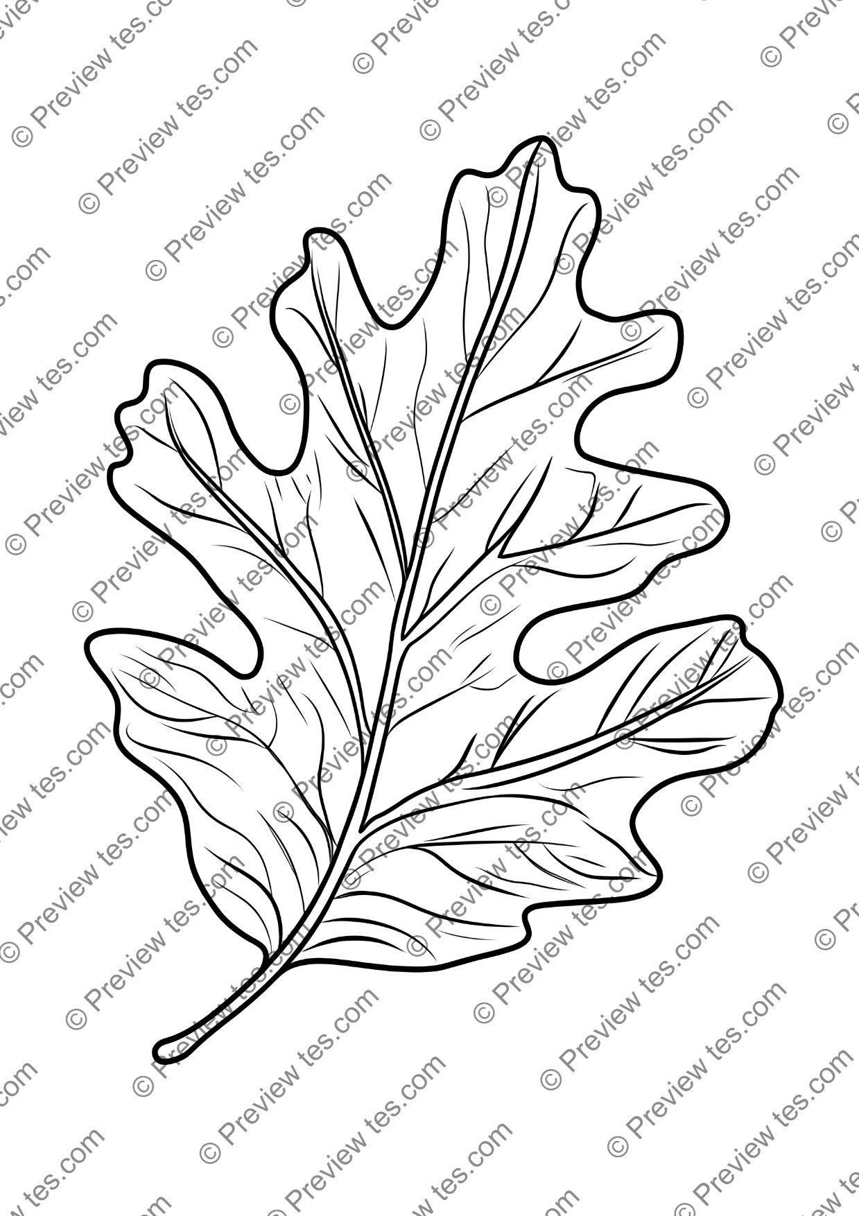 100 Leaf Colouring Pages | Seasonal Nature Art Activity for Classroom ...
