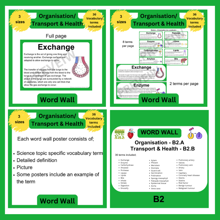 SCIENCE WORD WALL - BIOLOGY B2 - ORGANISATION/TRANSPORT & HEALTH ...