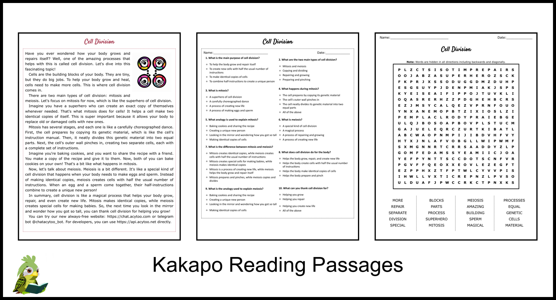 Cell Division Reading Comprehension and Word Search | Teaching Resources