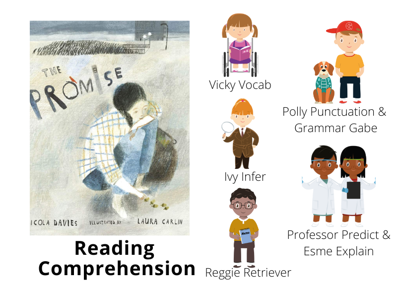 The Promise by Nicola Davies Reading Comprehension Questions and ...