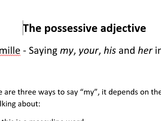 The possessive adjectives in French - Family topic | Teaching Resources
