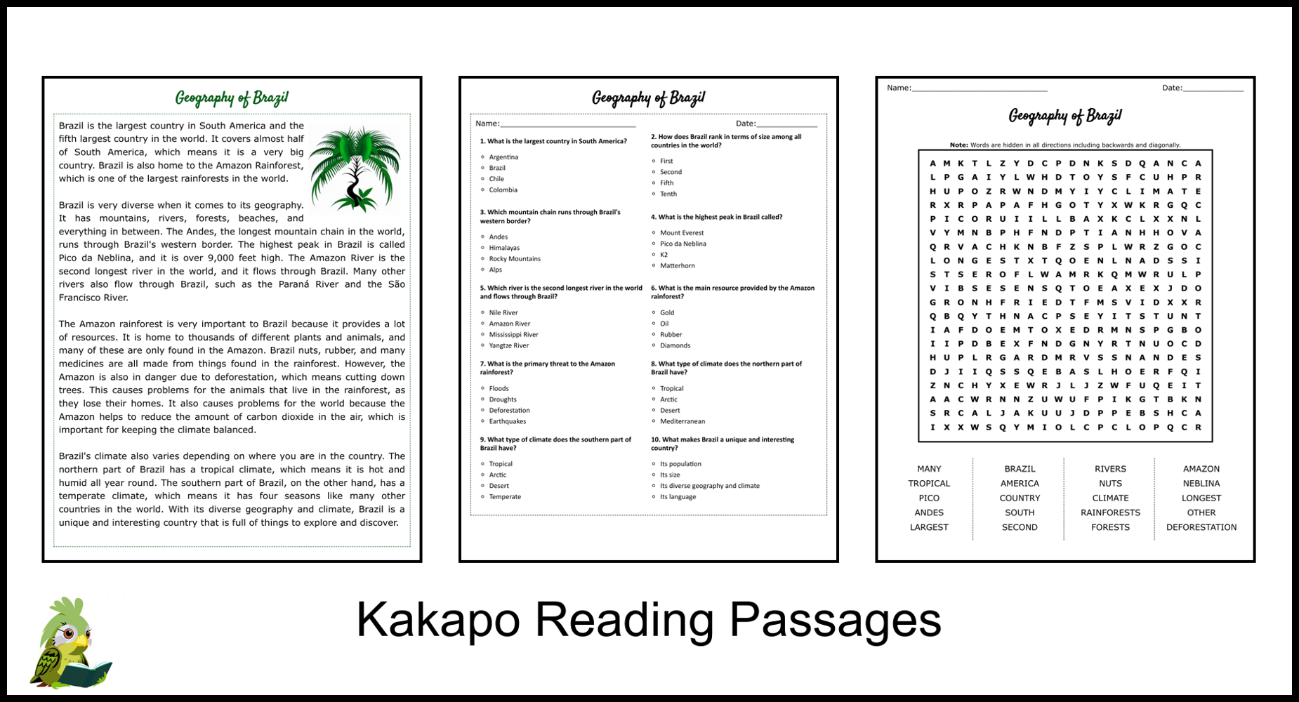 Geography of Brazil Reading Comprehension and Word Search | Teaching ...