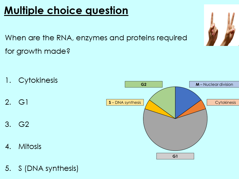 OCR A - A Level Bio, The cell cycle, 2.1.6 (a) and (b) | Teaching Resources