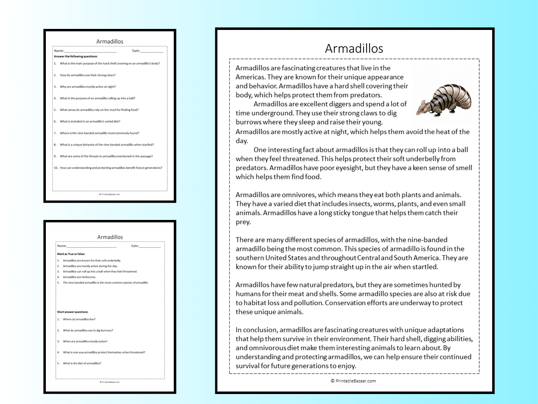 Armadillos Reading Comprehension Passage Printable Worksheet | Teaching Resources