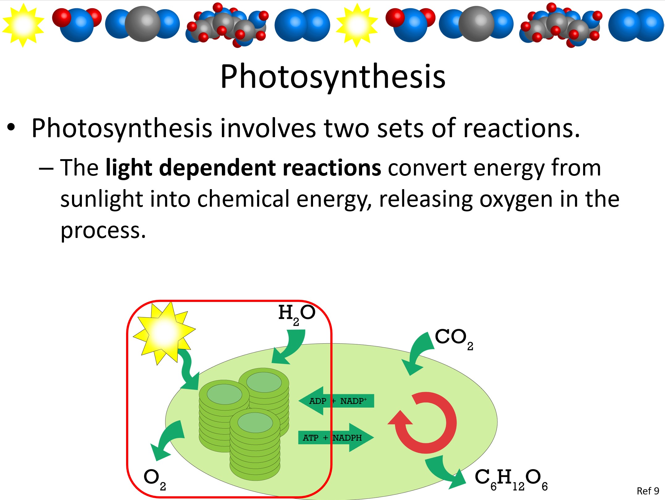Photosynthesis slideshow | Teaching Resources