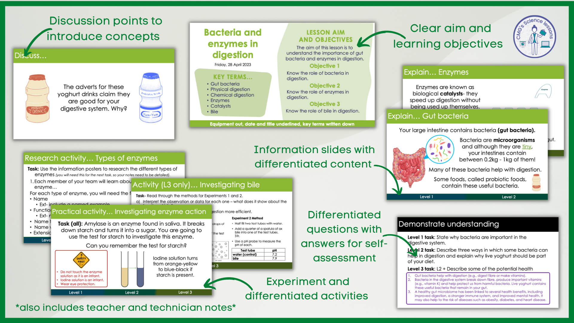 Bacteria and enzymes in digestion | Teaching Resources