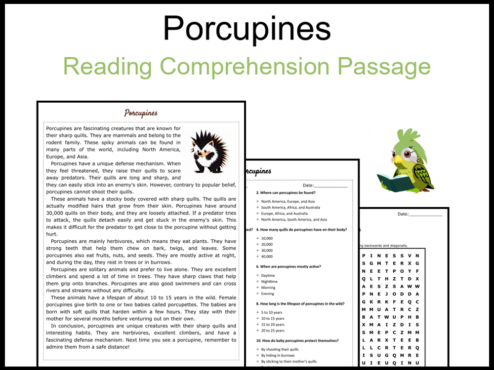 Porcupines Reading Comprehension and Word Search | Teaching Resources