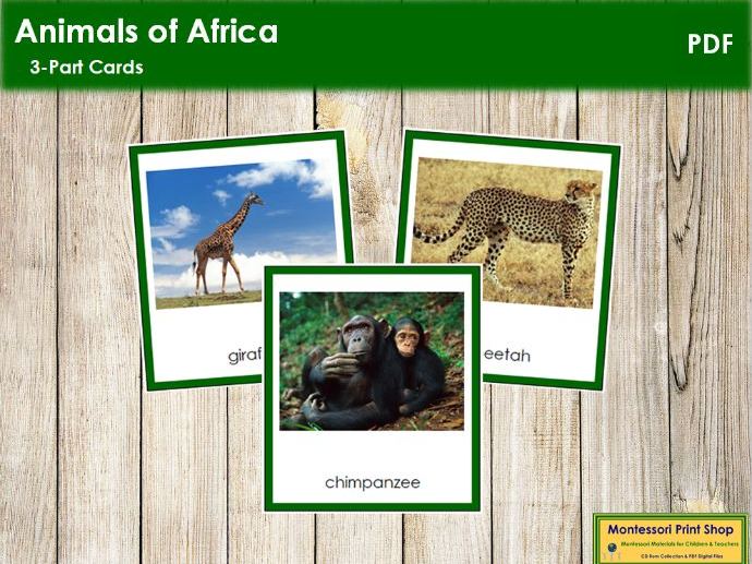 Primary animals resources